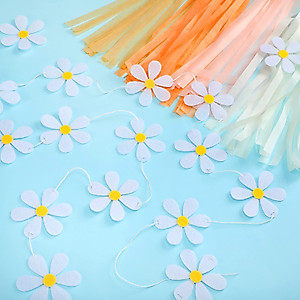 Tudomro 2 Pcs Daisy Groovy Boho Garland with 20 Pcs Paper Tassels, Groovy Party Decorations Hippie Daisy Felt Banner Artificial Daisy Party Favor for Wedding Birthday Party Bridal Decorations(Daisy)