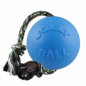 Jolly Pets Romp-n-Roll Rope and Ball Dog Toy, 8 Inches/Large, Blueberry, All Breed Sizes
