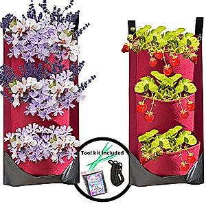Vertical Wall Hanging Felt Fabric Planter Grow Bags/Hanging Garden Planter Kit Red Felt Waterproof Back 2 Pack x 3 Pocket for Indoor or Outdoor/Vegetable, Herb, Flower, Succulent or Seed Planter
