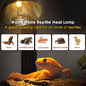 Reptile Heat Lamp, Briignite UVA Basking Light for Reptiles 50W, G9 Halogen Heat Bulb & Dome Reptile Light Fixture, Aluminum Reflector, Dimmable Heat Lamp for Chicken Turtle Snake Gecko Lizard, 1 Pack