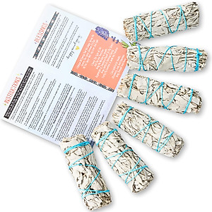 6 Pack White Sage ~ Sage Smudge Sticks for Smudging & Cleansing Energy ~ Bulk / Wholesale ~ Sustainably Grown (6 Pack)