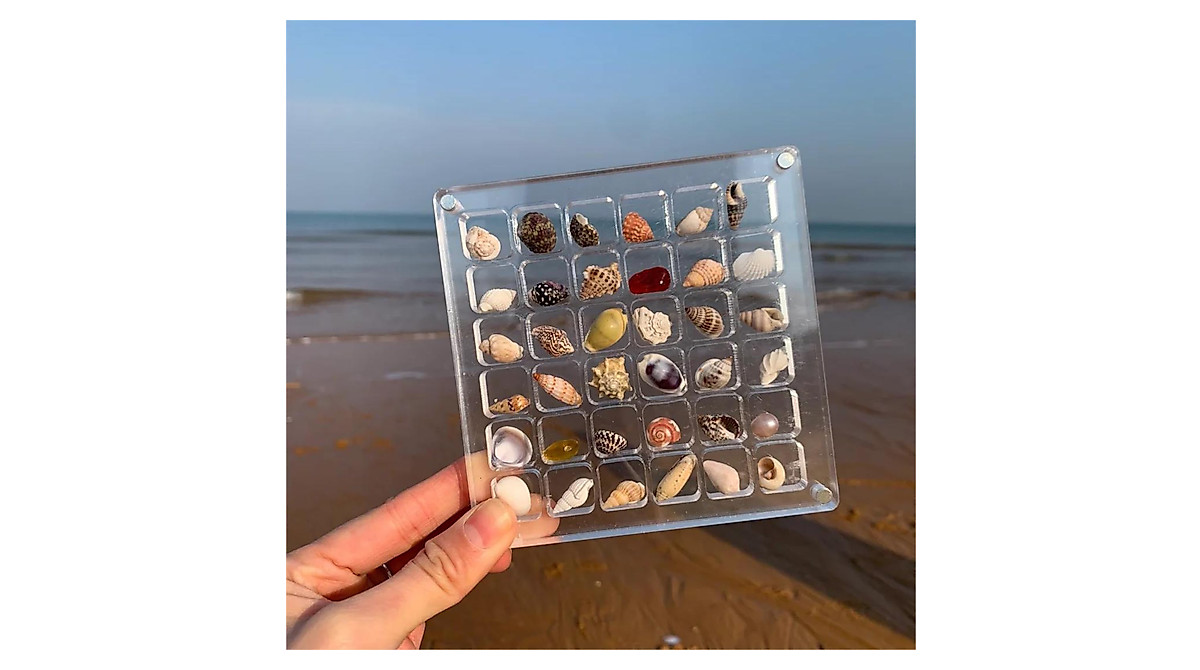 XronSlute Acrylic Magnetic Seashell Display Box - 36 Grids