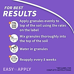 Bonide Systemic Houseplant Insect Control, 8 oz Ready-to-Use Granules for Indoors and Outdoors, Protects Plants from Insects