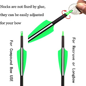 COLORFUL EAGLE Carbon Arrow Hunting Arrows with 100 Grain Tip and Removable Tips for Archery Compound & Recurve & Traditional Bow Practice Shooting Targeting (Pack of 6/12) (6 pcs 30 inch)