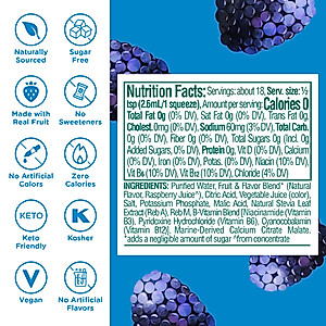 Stur Electrolyte Water Enhancer | Sweetened with Stevia | High in Vitamin C & Antioxidants | Sugar Free | Zero Calories | Keto | Vegan | 5 Bottles, Makes 120 Drinks (Black Raspberry)