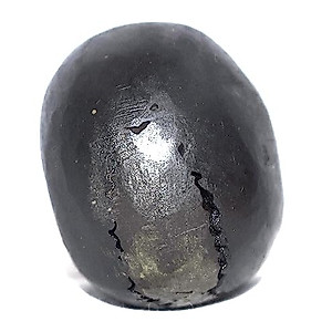 Rudrakshguru Laxmi Narsimha Shaligram