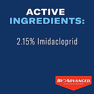 BioAdvanced Home Pest Roach Killer Gel Applicator, 15 Grams