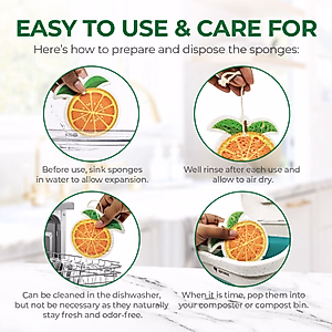 Biodegradable Cellulose Compressed Sponges Bulk - Fruit Shaped Natural Kitchen Sponges Pack of 12 - Eco Friendly Compostable Dish Sponges for Washing Dishes - Odor Free Pop Up Non Scratch Sponges