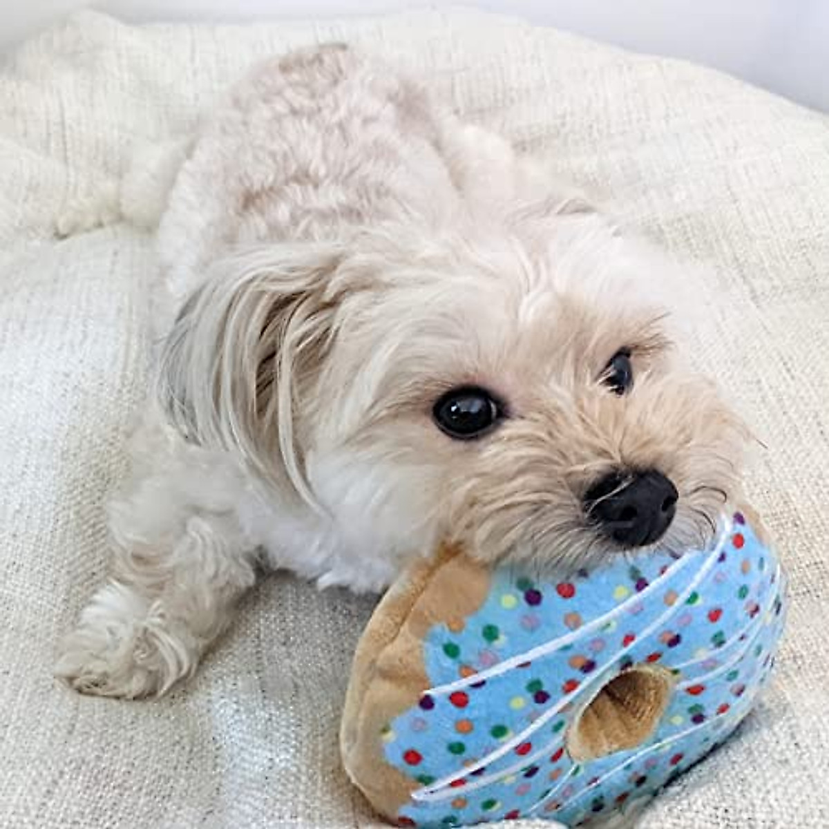 Huxley & Kent H&K for Dogs Power Plush | Drizzle Donut Blue (Large) | Funny Dog Toy | Dog Toy with Squeaker | Dog Gift | Fun, Durable, and Safe | Squeaky Dog Toy