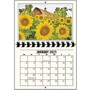 Photographer's Edge, 2025 Wall Calendar, Photo Mount Wall Calendars for Horizontal 4x6 Photos, 3 Pack