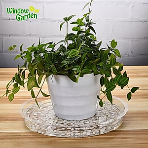 Window Garden 12" Plant Saucer - Plastic Plant Trays for Indoor and Outdoor - Clear Flower Pot Drip Trays - Drainage Base - Water Tray for Pots Indoors - Planter Saucers for Potted Plants - Set of 6