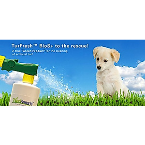 BioTurf BioS+ Artificial Turf Grass Concentrate Enzyme Cleaner and Pet Odor Eliminator - Removes Odors and Sanitizes - Organic, Safe, Environmentally Responsible (1 Gallon)