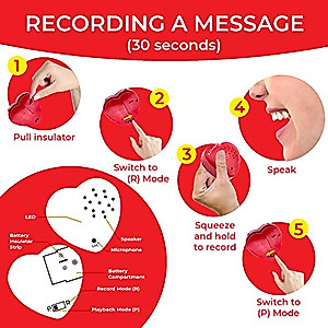 EZSound Voice Recorder for Stuffed Animal | 2 Pack - 30 Seconds Push Button Sound Recorder | Create Heartbeat Bear for Newborn | Personal Voice Message Recordable Sound Module for Toys (Red)