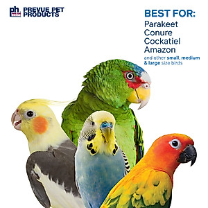 Prevue Pet Products Sound & Movement Chime Time Cyclone Bird Toy 62161