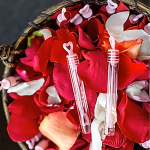 250 Pack Mini Bubble Wands Bulk, Party Favors for Weddings, Valentine's Day, Anniversaries, Celebrations, Graduation, Birthday for Boys Girls Kids Toddler Adults