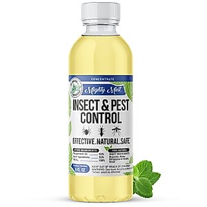 Mighty Mint Insect & Pest Control Peppermint Concentrate 8 oz - Makes 1 Gallon - Plant-Based Formula Kills and Prevents Spiders, Ants, Flying Insects, and More