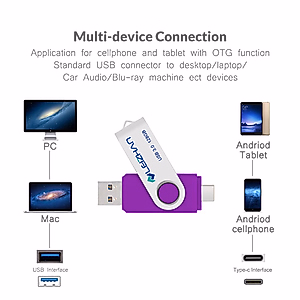 leizhan 256GB USB Flash Drive Type C Phone Picture Stick 3.0 Compatible with HTC 10, Huawei P20, Samsung Galaxy S10, S9, Note 9, S8, S8 Plus, Purple