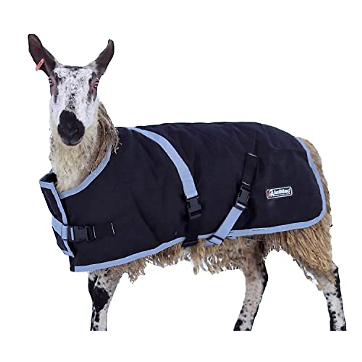 AniMac Super Calf Jacket for Calves, Sheep, Alpaca, Goats and Dogs – Premium Waterproof Livestock Coat – Breathable – Synthetic – Machine Washable
