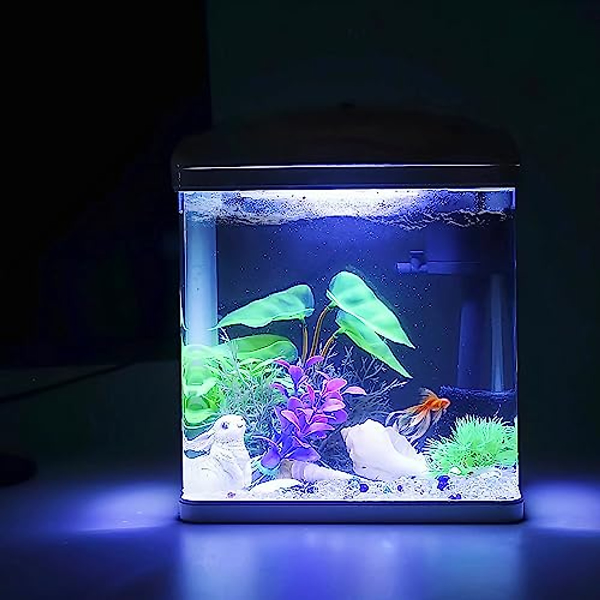TARARIUM Glass Betta Fish Tank Set Up Aquarium Starter Kit Small Nano 2 Gallon with Waterfall Filter and Planted Light, Self Cleaning for Shrimp Goldfish Desktop Office Home Room Decor