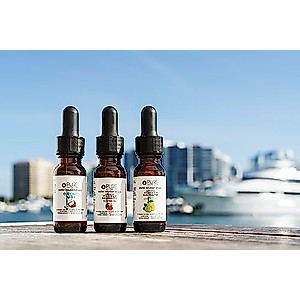 Pure Inventions - Mini Electrolyte Support Bundle Trio - Lemon Lime, Watermelon, Coconut Water - 12 Servings Each - Wellness Drops for Immunity, Wellness, & Hydration - includes Travel Bag