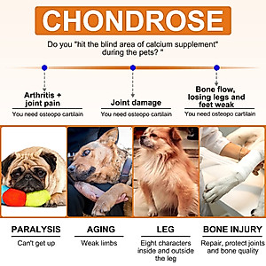 ZIXAOK Glucosamine for Dogs - Hip & Joint Supplement (150 Tablets, 13.2 oz) - Chews with Chondroitin, MSM & Hemp Oil for Arthritis Relief & Enhanced Mobility for All Breeds