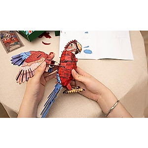 STEM Kit Educational Toys,Macaw Model Kits, 3D Puzzles Gift for Kids Boys Girls Aged 7+, 170 pcs