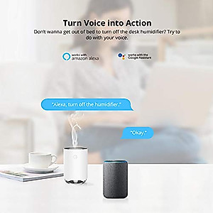 SONOFF Micro-CFH 5V USB Smart WiFi Adaptor for Alexa & Google