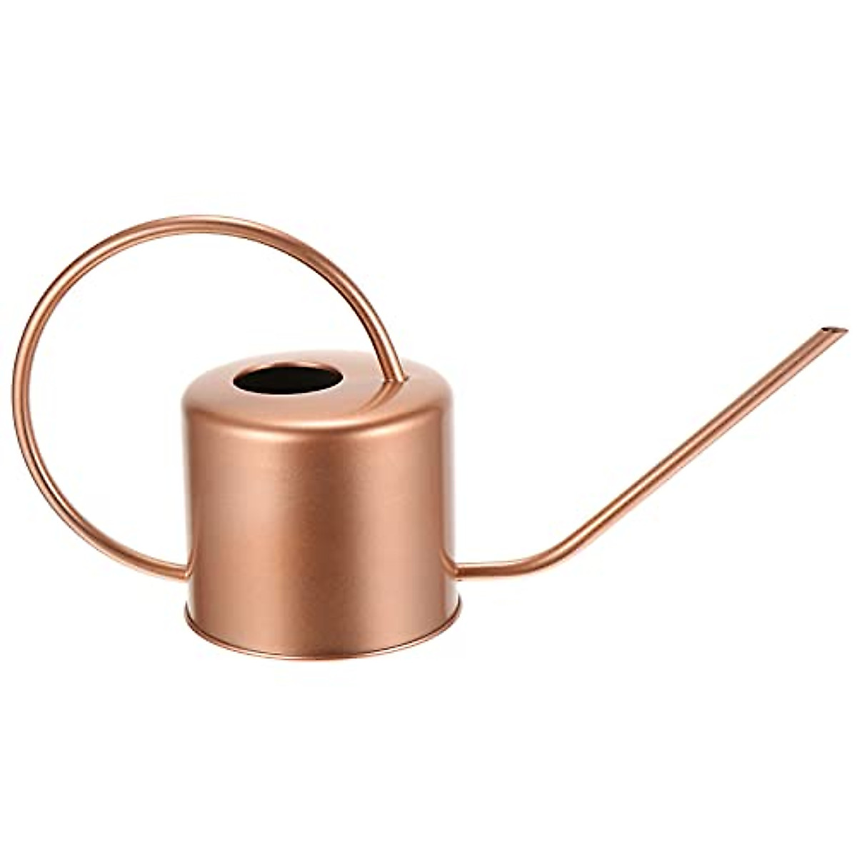 Watering can Spout Watering Pot Plant misting Water Bottle Kids Watering Spray Bottle Water Pitcher for Plants Kettle with Long Spout Child Outdoor Stainless Steel Succulent Plants