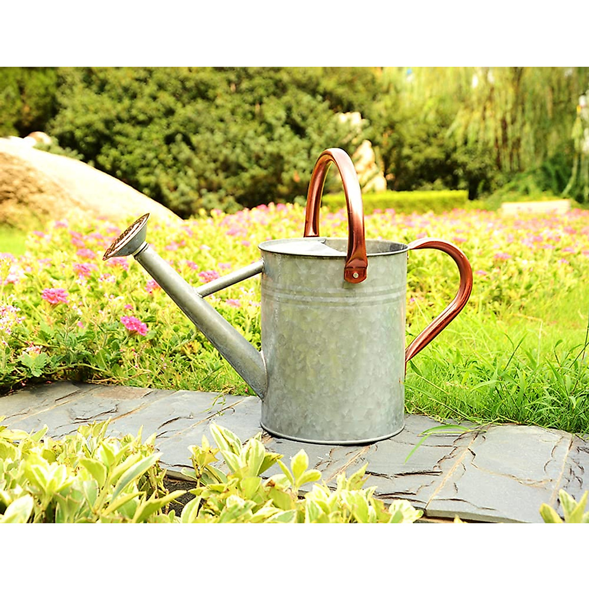 yourjoy Metal Watering Can, One Gallon Watering Cans Stainless Steel for Outdoor Indoor Garden Plants Watering (Zinc 1 Gallon)