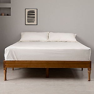 GTNSAFP 14 Inch Bamboo Wood Platform Bed Frame/Wood Slat Support/No Box Spring Needed/Easy Assembly,Coffee, Queen