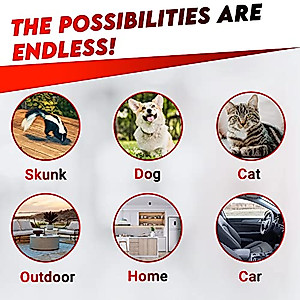 ZORBX Unscented Skunk Odor Remover Spray – Fast Acting Skunk Smell Removal | Extra Strength Skunk Odor Eliminator for Dogs, House, Home, Car, Clothes & Furniture (24 FL Oz.)