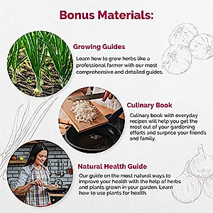 10 Carrot & 8 Onion Seeds Variety Packs Bundle Non-GMO Heirloom Seeds for Planting Indoor and Outdoor Over 5200 Carrot & Onion Seeds in One Value Bundle