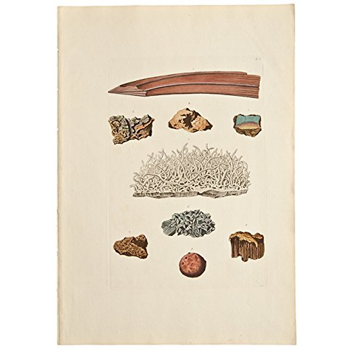 [Mineral Specimens] [Pl. 14]