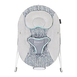 Smart Steps EZ Bouncer, Ziggy