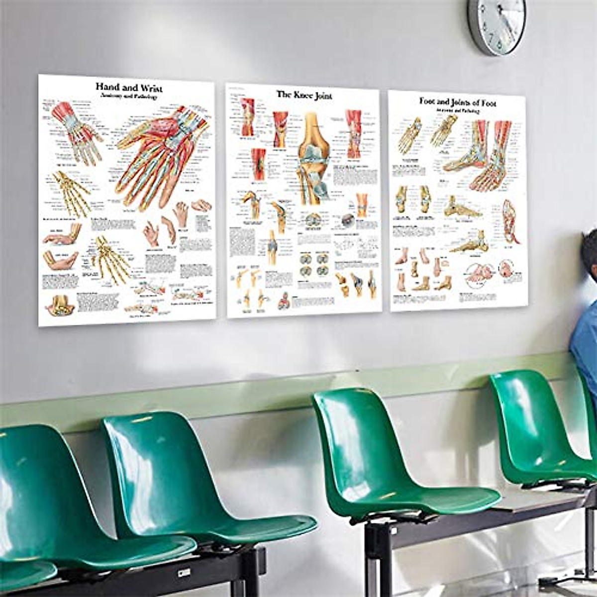 Skin Science Anatomy Posters for Walls Medical Nursing Students Educational Anatomical Human Organs Skeletal Muscles Poster Chart Medicine Disease Map for Doctor Enthusiasts Kid's Enlightenment Education W