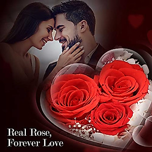 ADDWel Preserved Real Red Roses Gifts for Her, Cute Moss Bear and Meaningful Forever Roses with I Love You Necklace 100 Languages Present for Girlfriend Wife Mom from Husband Boyfriend Daughter Son