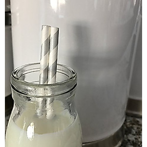 Striped Paper Straws - Silver White - Christmas Holiday Wedding Anniversary Party Supply - 7.75 Inches - 100 Pack - Outside the Box Papers Brand