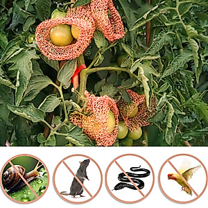 Copper Mesh, Rodent Mesh Sturdy Pure Copper Stuff-fit Wire Mesh for Gap Copper Blocker Fill Fabric 5" x 47"