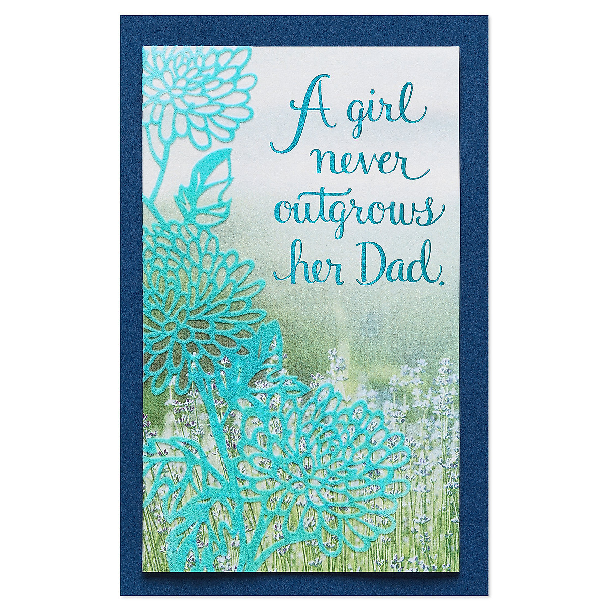 American Greetings Birthday Card for Dad from Daughter (My Hero)