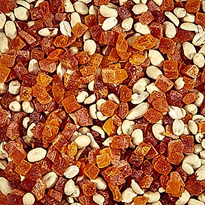 Kaytee Fiesta Papaya, Peanuts And Mango Treat For All Pet Birds, 10-Oz Jar