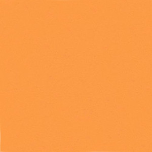 Pumpkin Orange Cardstock - 8.5 x 11 inch - 65Lb Cover - 50 Sheets - Clear Path Paper