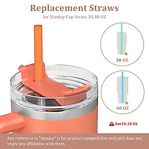 Silicone Replacement Straws for Stanley 40 oz 30 oz Cup Tumbler -6 PCS Straws Replacement for Stanley Adventure Travel Tumbler, Straw with Cup Cleaner for Stanley 40 oz 30 oz Cup
