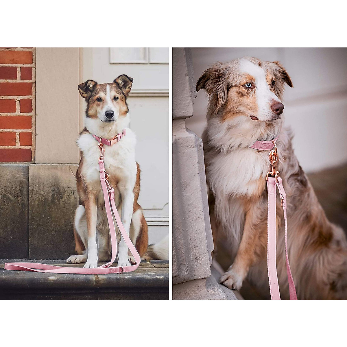 Soft Leather Dog Collar and Leash (6.6') Set - Stylish Rose Gold Heavy Duty Metal Buckle, 4 Adjustable Lengths Leash for Small Medium Large Dogs - Comfortable & Easy to Clean Pink M(13.8"-19.7")