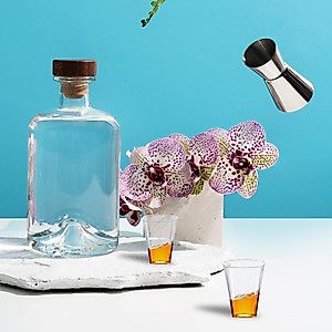 Smarty Had A Party 2 oz Clear Plastic Shot Glasses – Set of 500 Disposable Shot Glasses for Parties, Weddings, and Events – Bulk Plastic Shot Cups