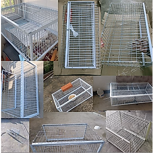 Big Foldable Galvanised Pigeon Dove Bird Trap Cage Feral Pigeon Humane Way with The one-Way Entrance Trapping Pigeons Doves in Cages (40x40x26 4Entrance)