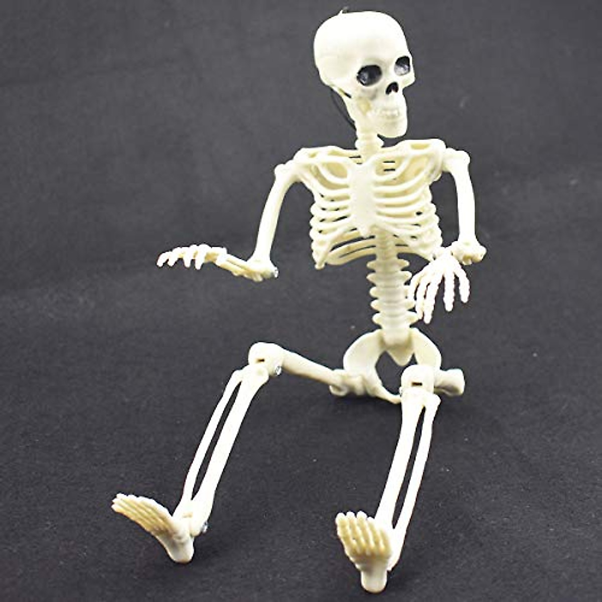 XONOR 16” Posable Halloween Skeleton- Full Body Halloween Skeleton with Movable Joints for Haunted House Props Decorations (1pc)