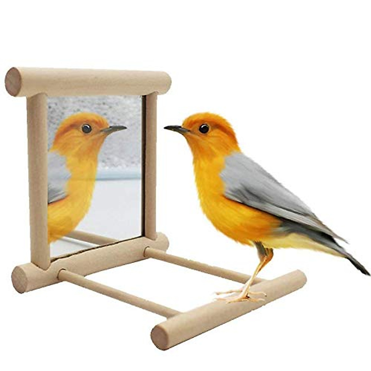 PIVBY Bird Mirrors Lovebird Toys Perches for Bird cages Interactive Hanging Play Toy for Parrot Macaw African Greys Budgies Cockatoo Parakeet Cockatiels Conure Lovebird