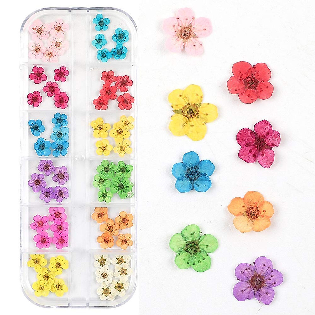 Valuu 3D Nail Dried Flowers Sticker，60 Five Petal Flower 12 Colors Natural Real Dry Flower Nail Stickers （60 Flowers）