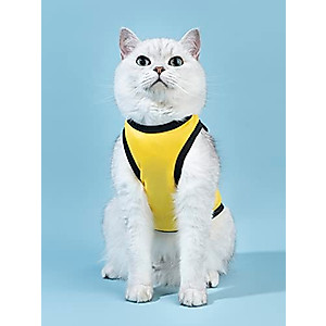 QWINEE Dog Shirts Mom Boy Pet T Shirts Tank for Dogs & Cats,Puppy Shirts,Breathable Letter Pet Clothes for Small Medium Dogs Cats Yellow A Medium