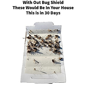 Bug Shield Sticky Glue Traps 12 Glue Boards, All Types of Incets, Spiders, Cockroaches, Ants, Cave Crickets, and More. Professional Strength Glue.